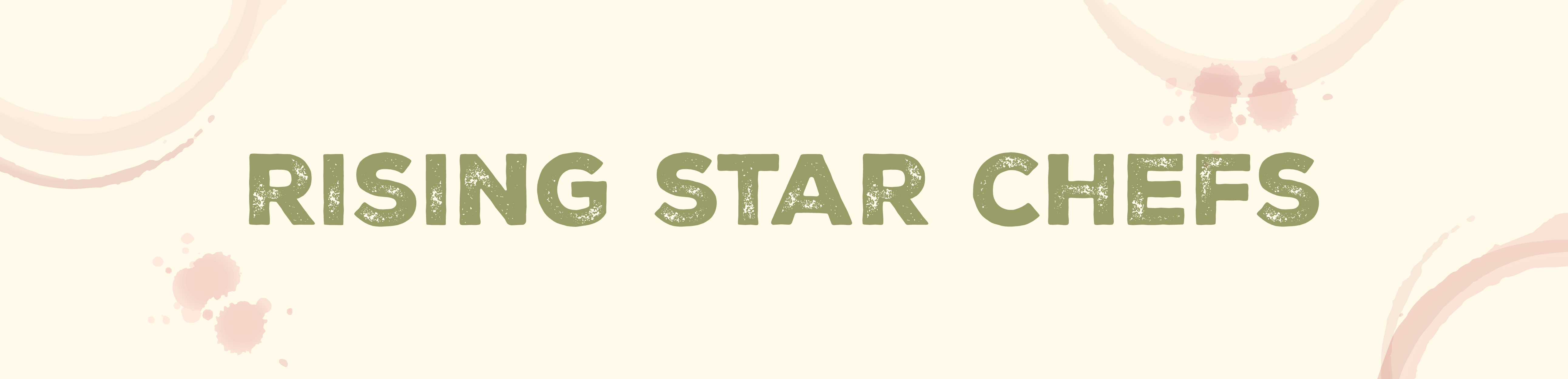 2025 Rising Star Chefs – Albany Wine and Dine for the Arts 2025